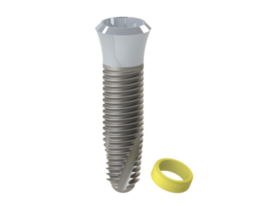 TRANSMUCOSAL BIPHASIC IMPLANT - Leghe Leggere